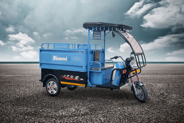 Diamond E-Cart Price in 2024 - E-Cart Mileage, Loading Capacity