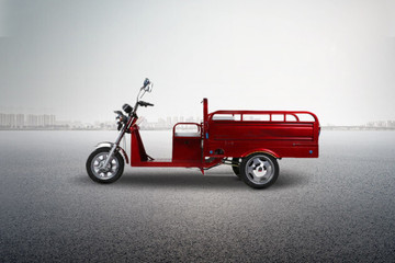 Gkon MS Cargo Price in 2024 - MS Cargo Mileage, Loading Capacity